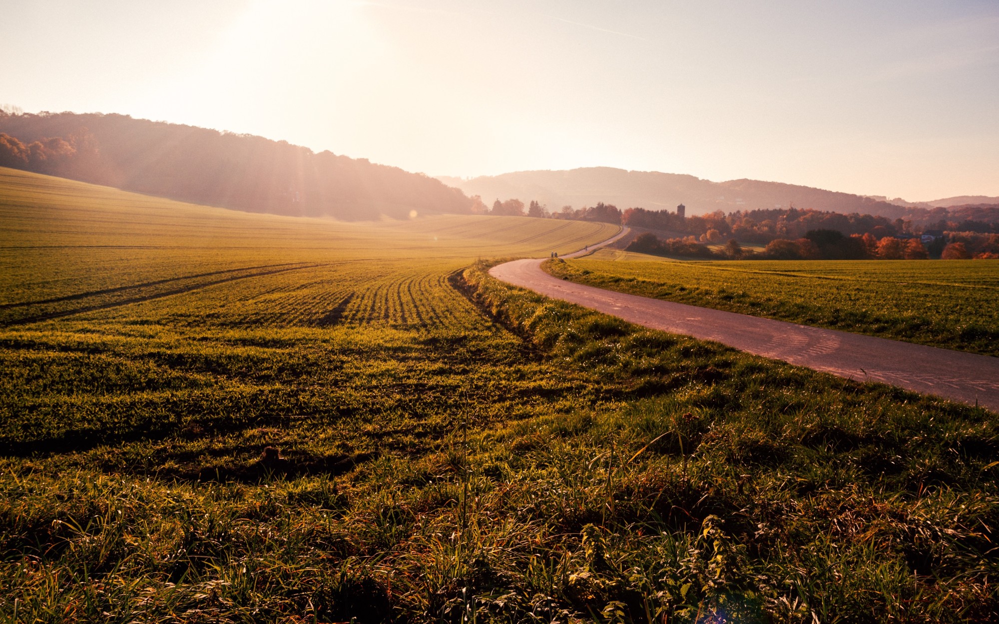 How To Determine Land Value A Step By Step Guide Sell The Land Now 